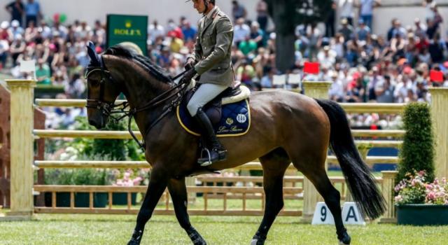 Equitazione, World Equestrian Games 2018: Alberto Zorzi e Lorenzo De ...